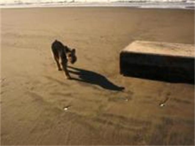 Strange Metal Boxes Appear Along West Coast After UFO Sightings - Ghost ...