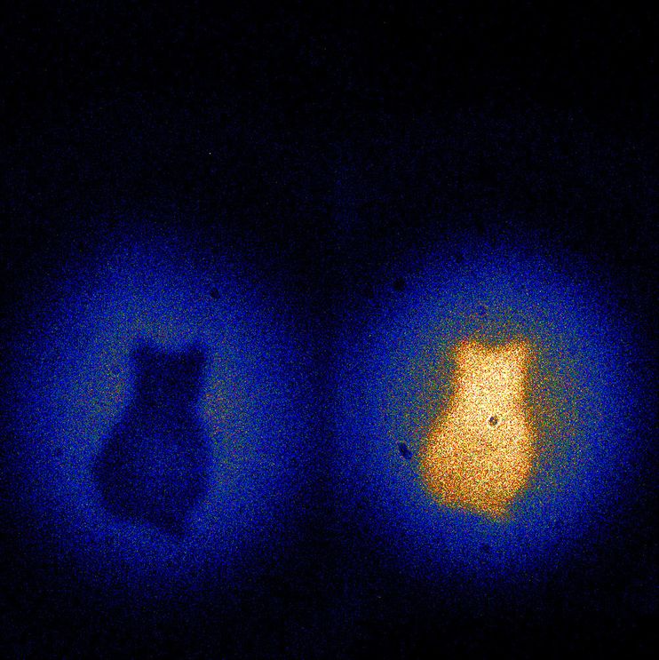 Ghost Imaging Technique Discovered in Quantum Physics - Ghost Theory